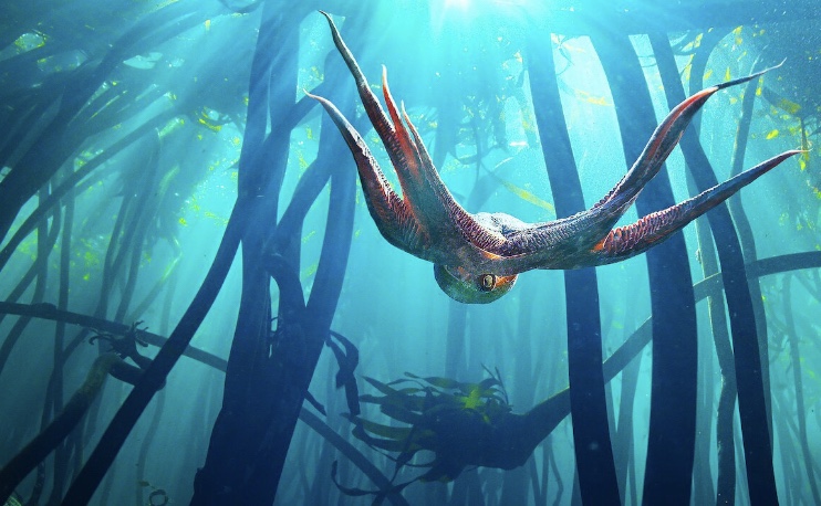 Craig Foster’s My Octopus Teacher – Podcasting Them Softly