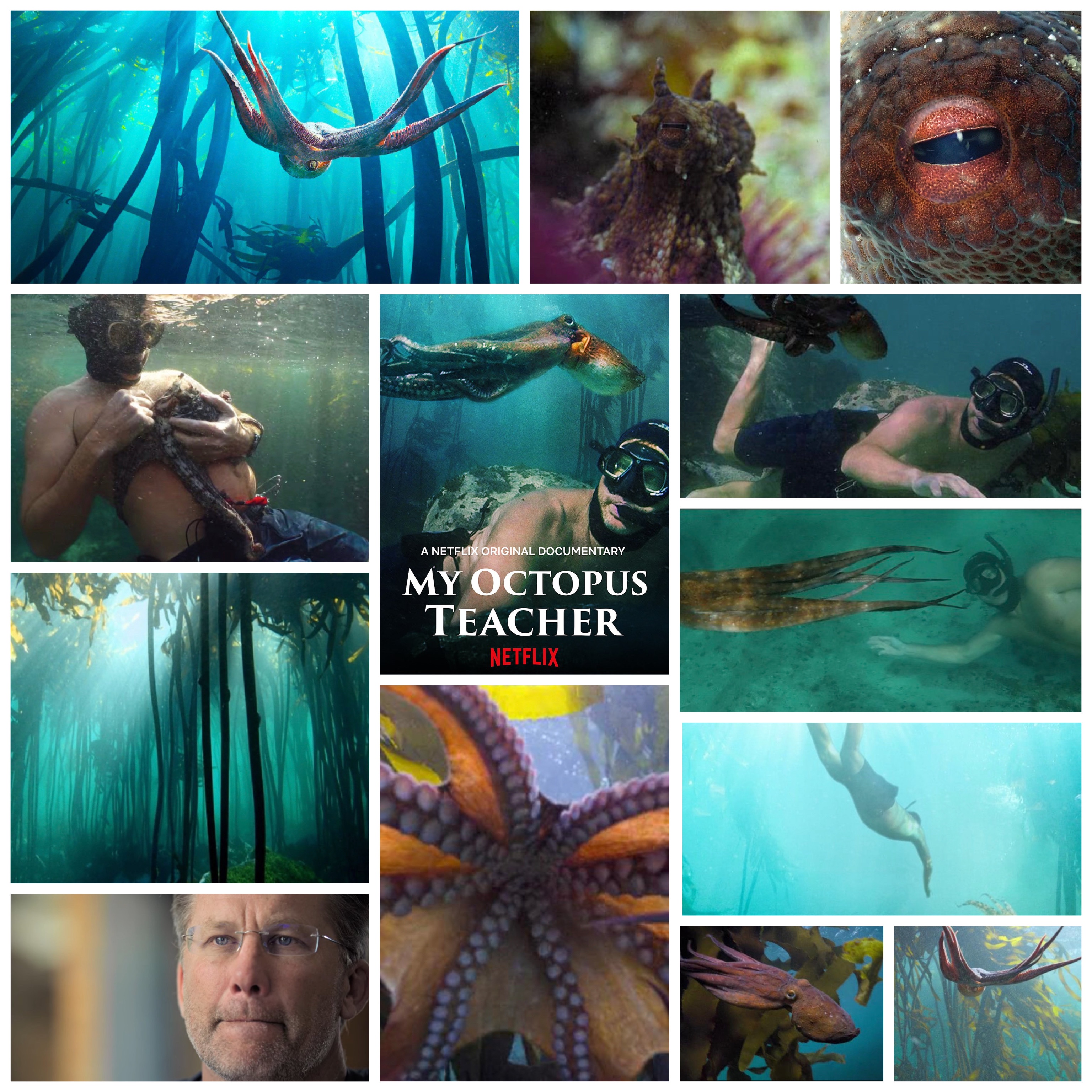 Craig Foster’s My Octopus Teacher – Podcasting Them Softly